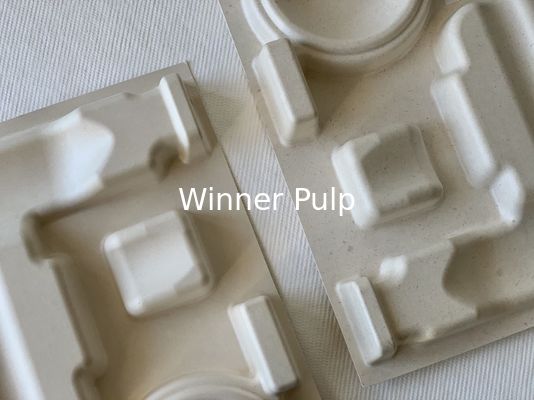 Thermoformed Biodegradable Pulp Tray Smooth Rigid Recyclable Moulded ...