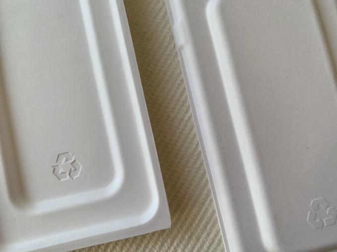 Pulp Dry Press Moulded Fiber Packaging Smooth Eco Friendly